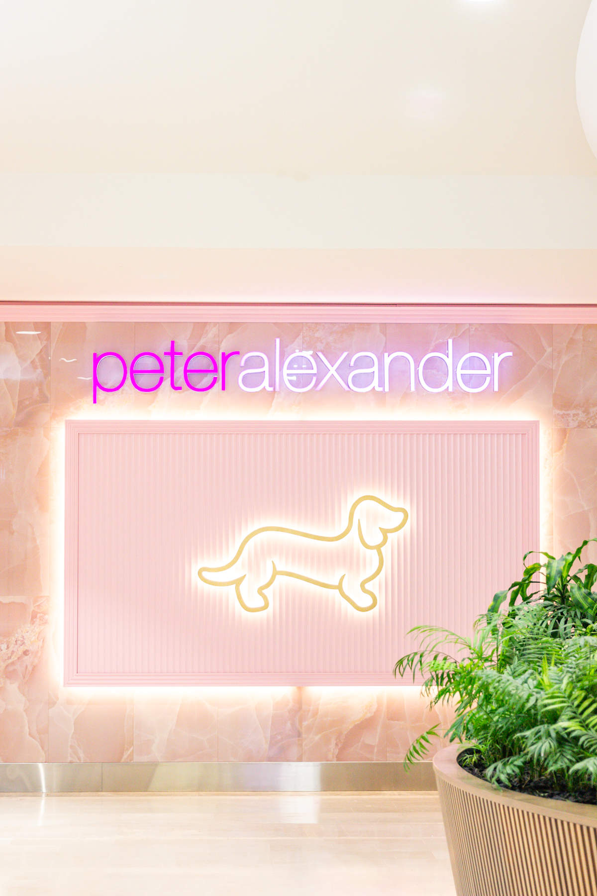 Peter Alexander at Westfield Belconnen