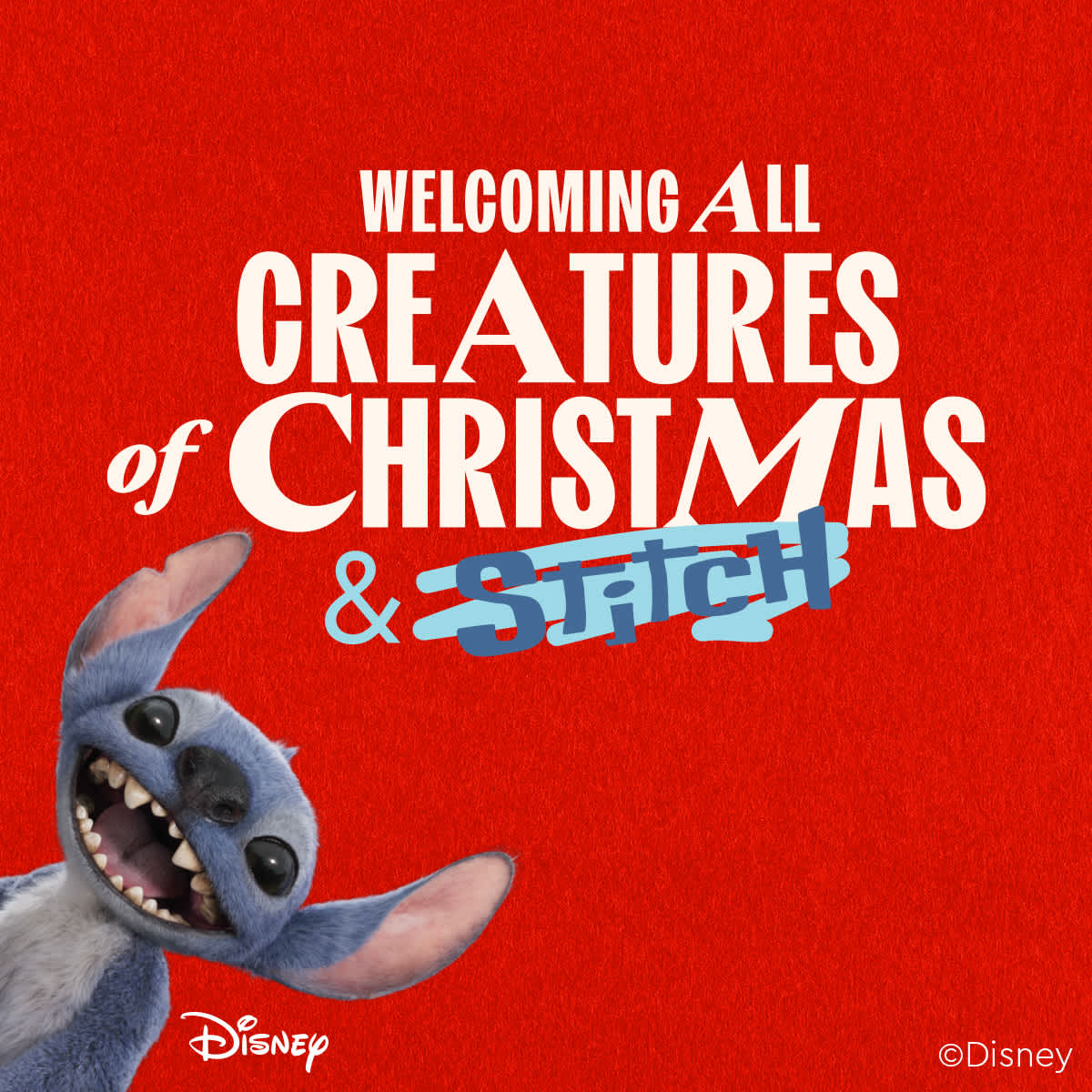 Christmas at Westfield