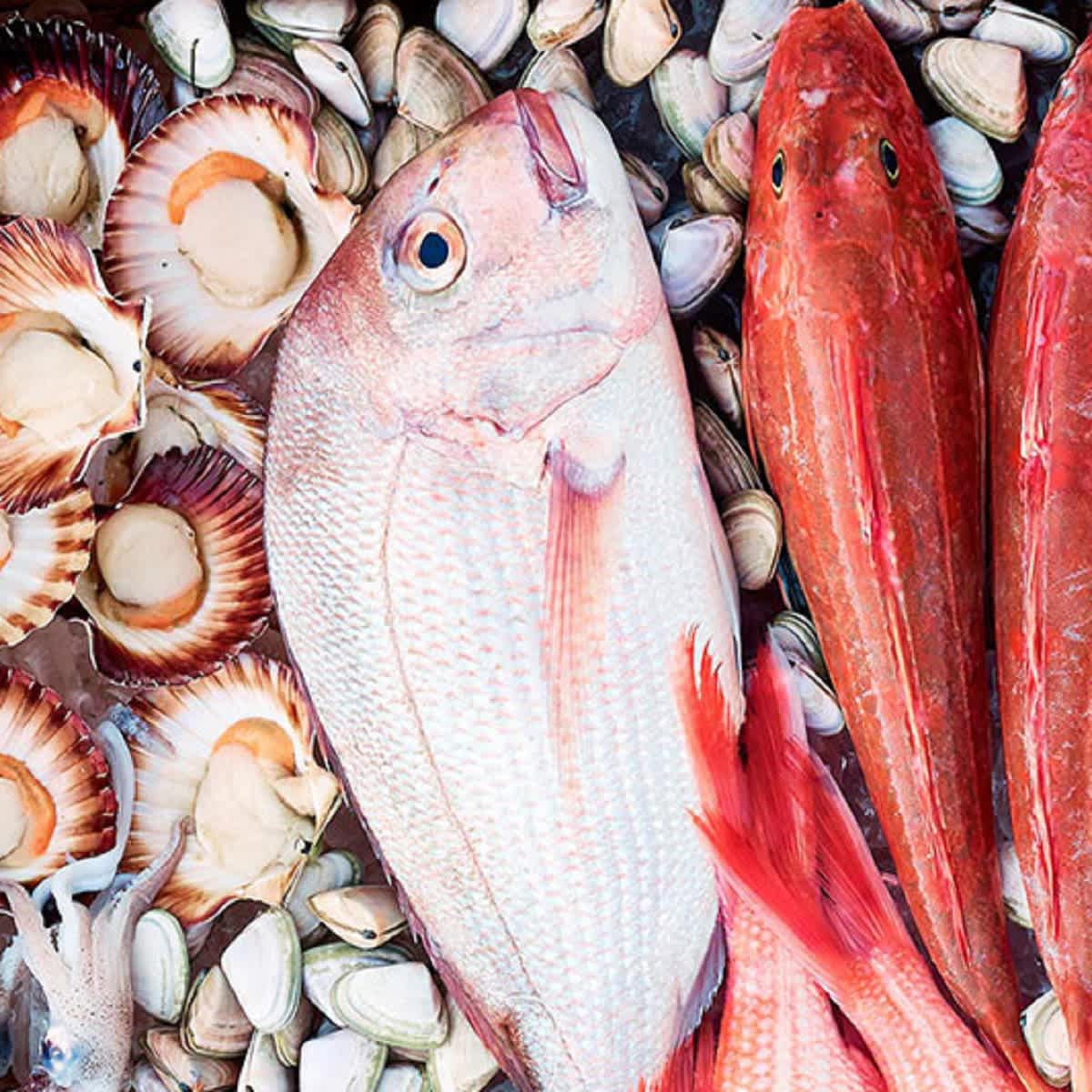 7 Seas Seafood Carousel at Westfield Carousel