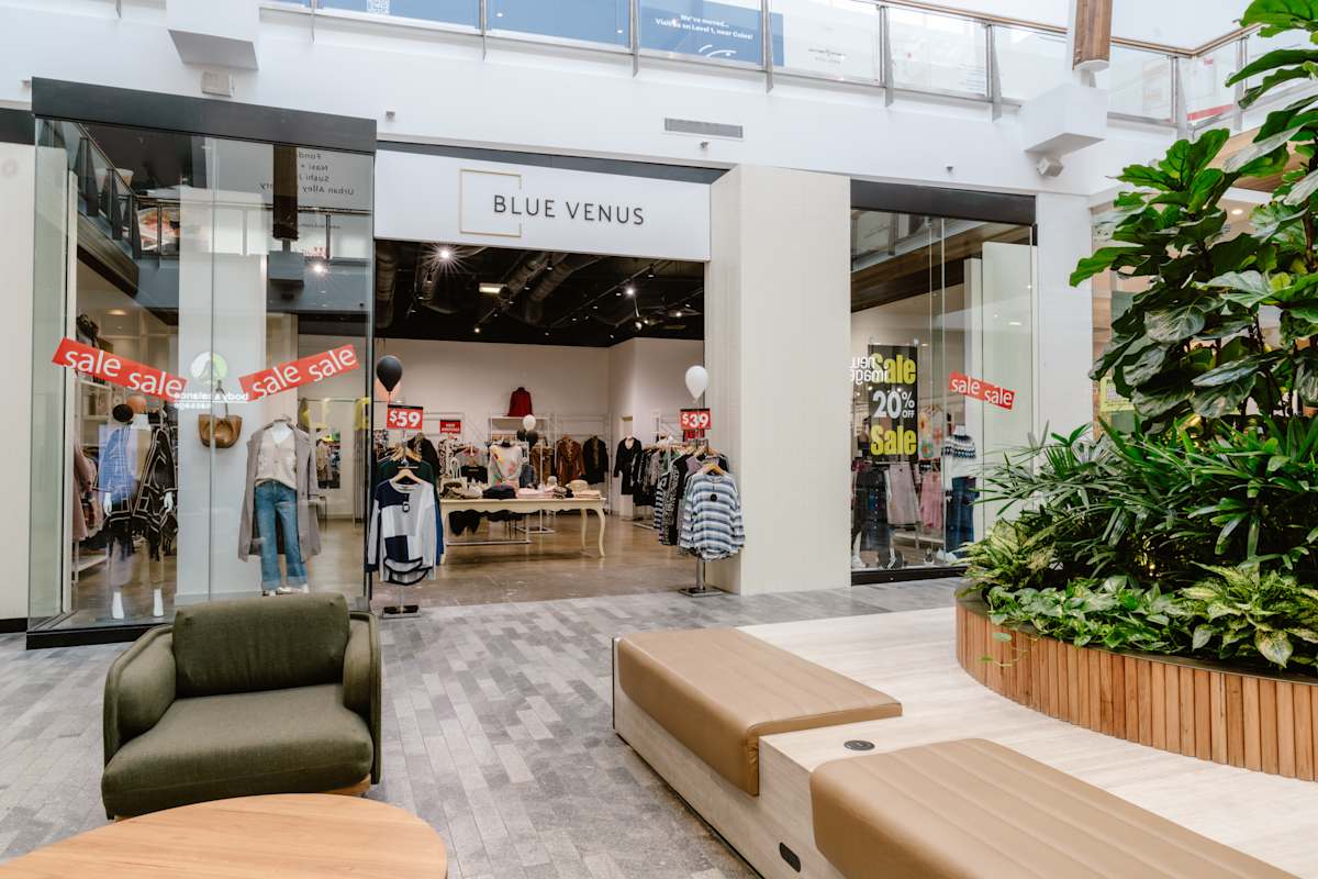 Blue Venus at Westfield Knox