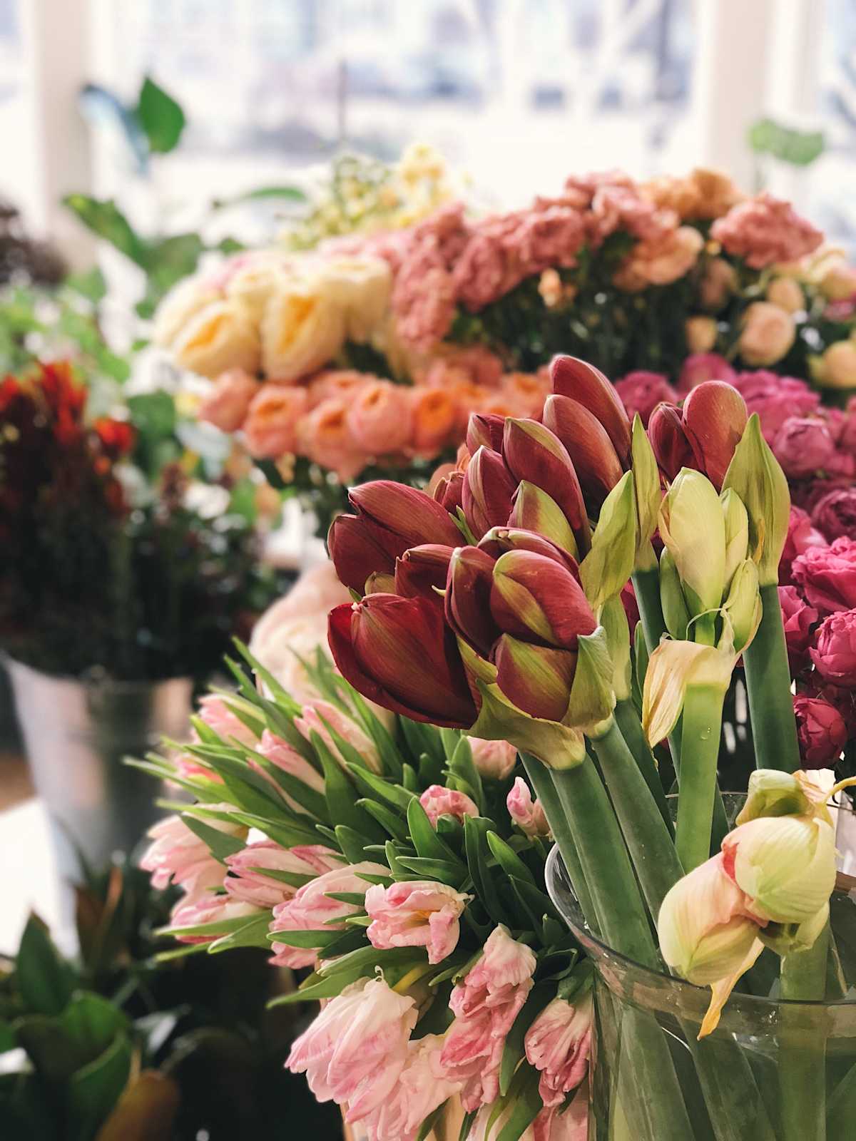 Rosella Floral Coast at Westfield Bondi Junction