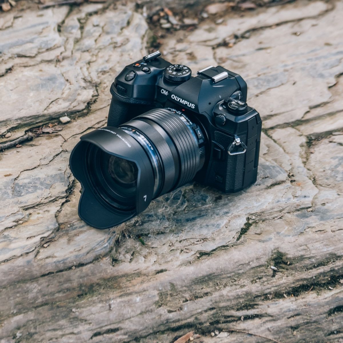 digiDIRECT at Westfield Bondi Junction