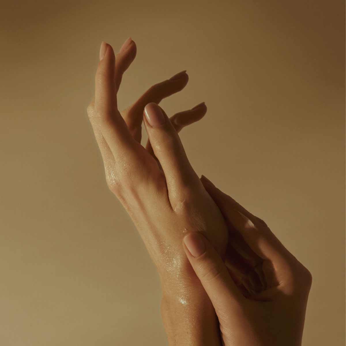 L'Occitane en Provence: Shea butter hand spa treat