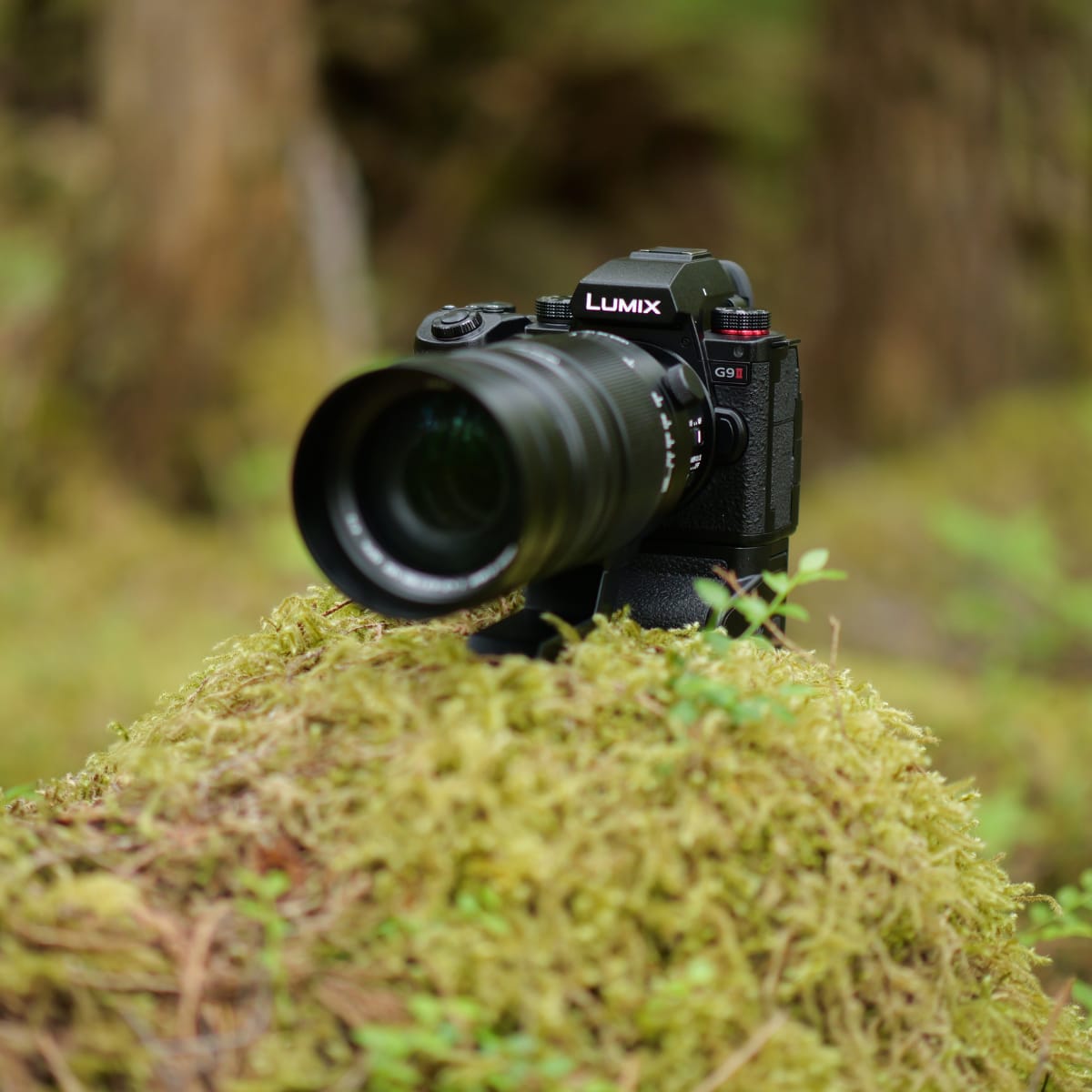 digiDIRECT at Westfield Bondi Junction