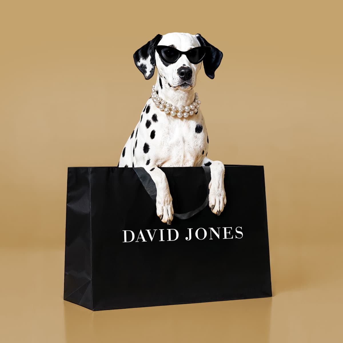 Alias Mae (David Jones) at Westfield Warringah Mall