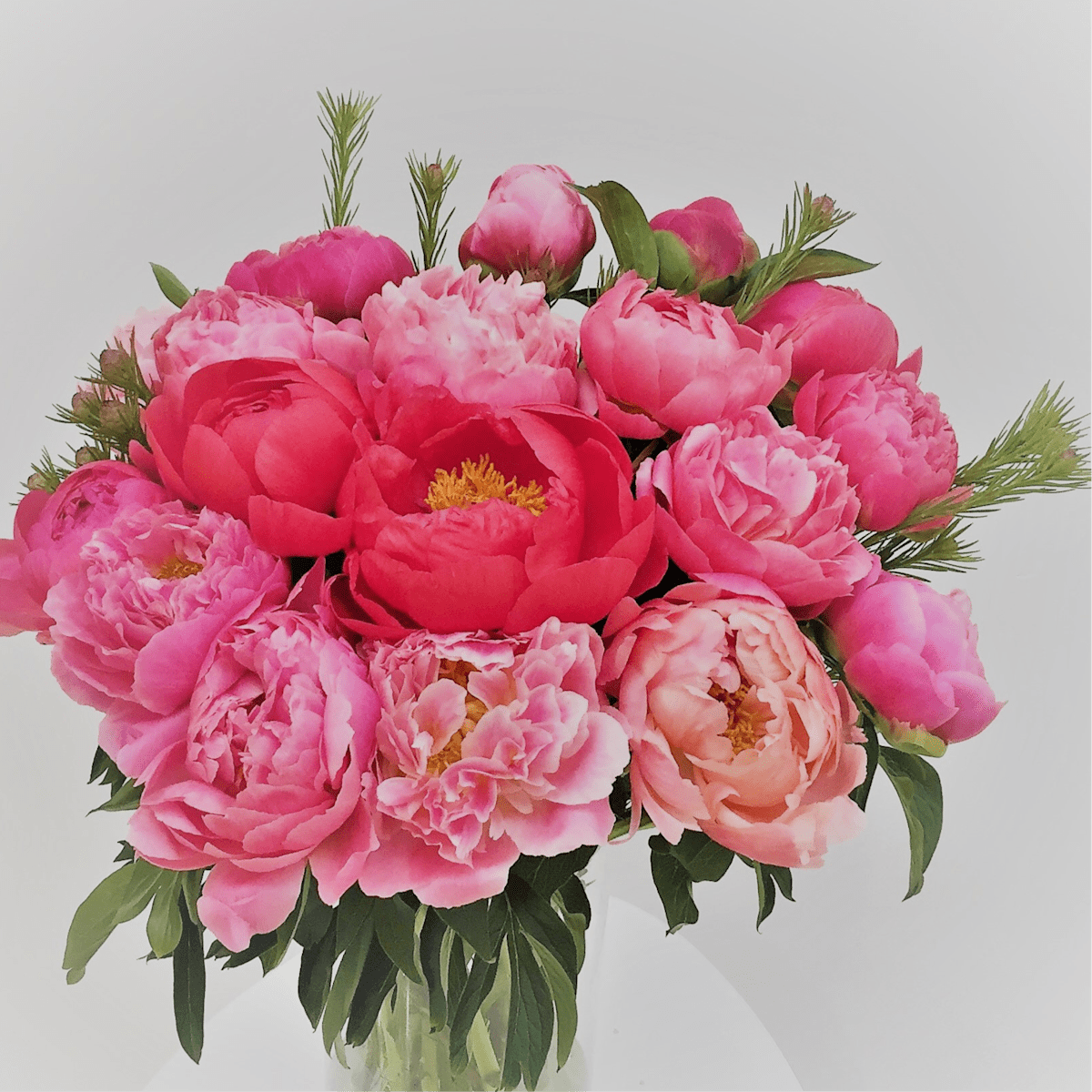 Maten Floral Design at Westfield St Lukes