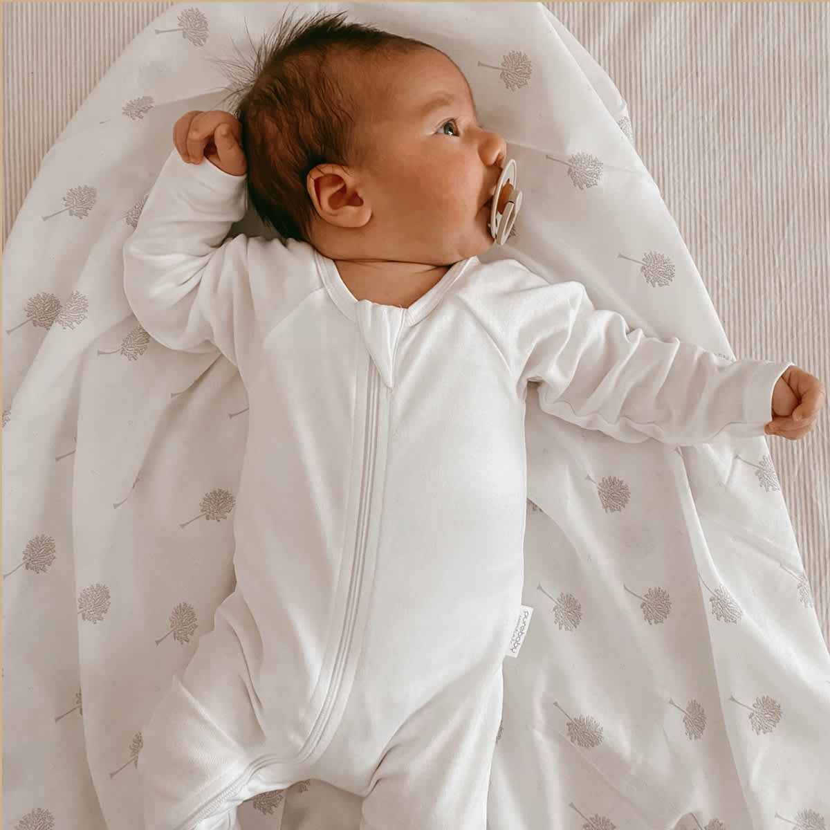 Purebaby at Westfield Miranda