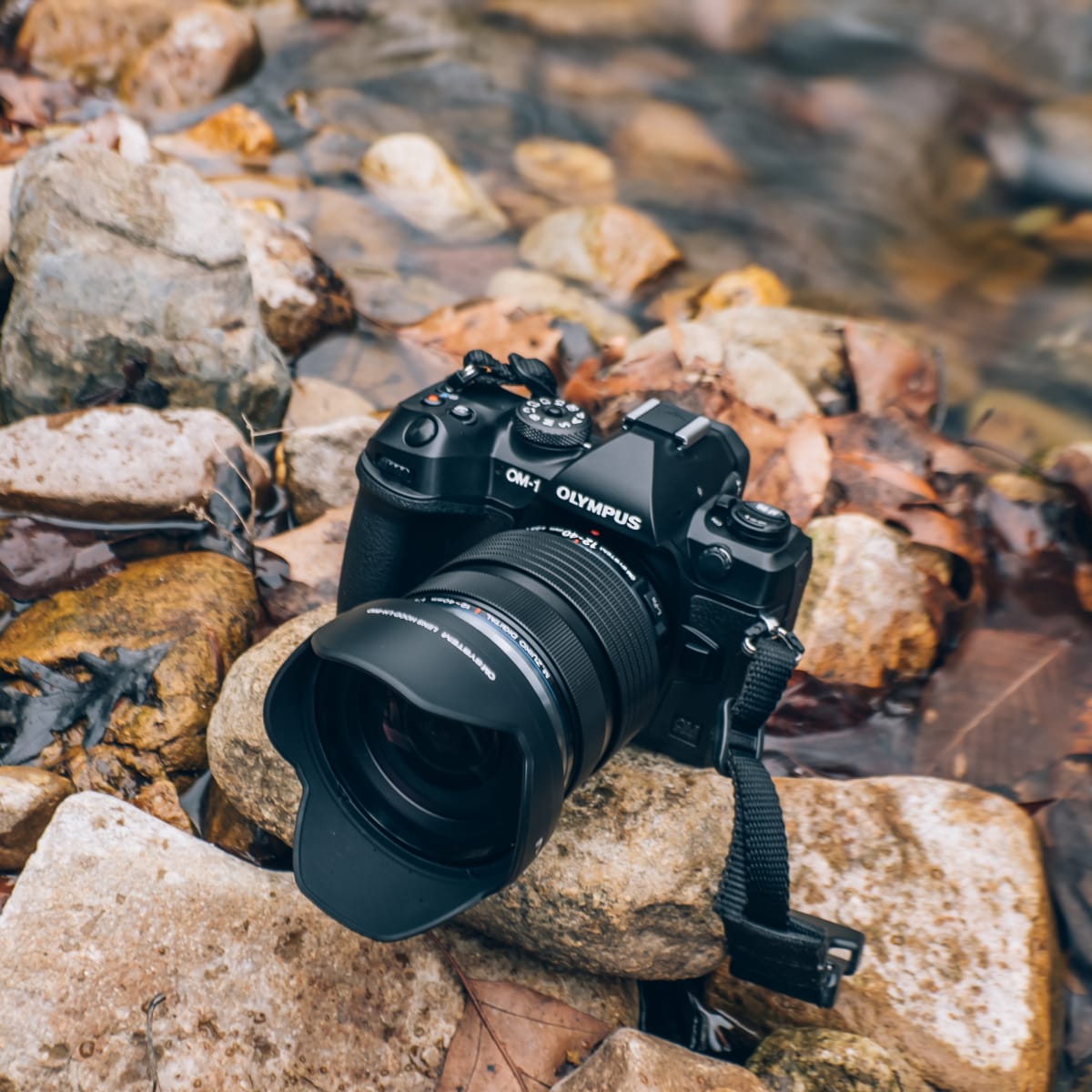 digiDirect at Westfield Parramatta