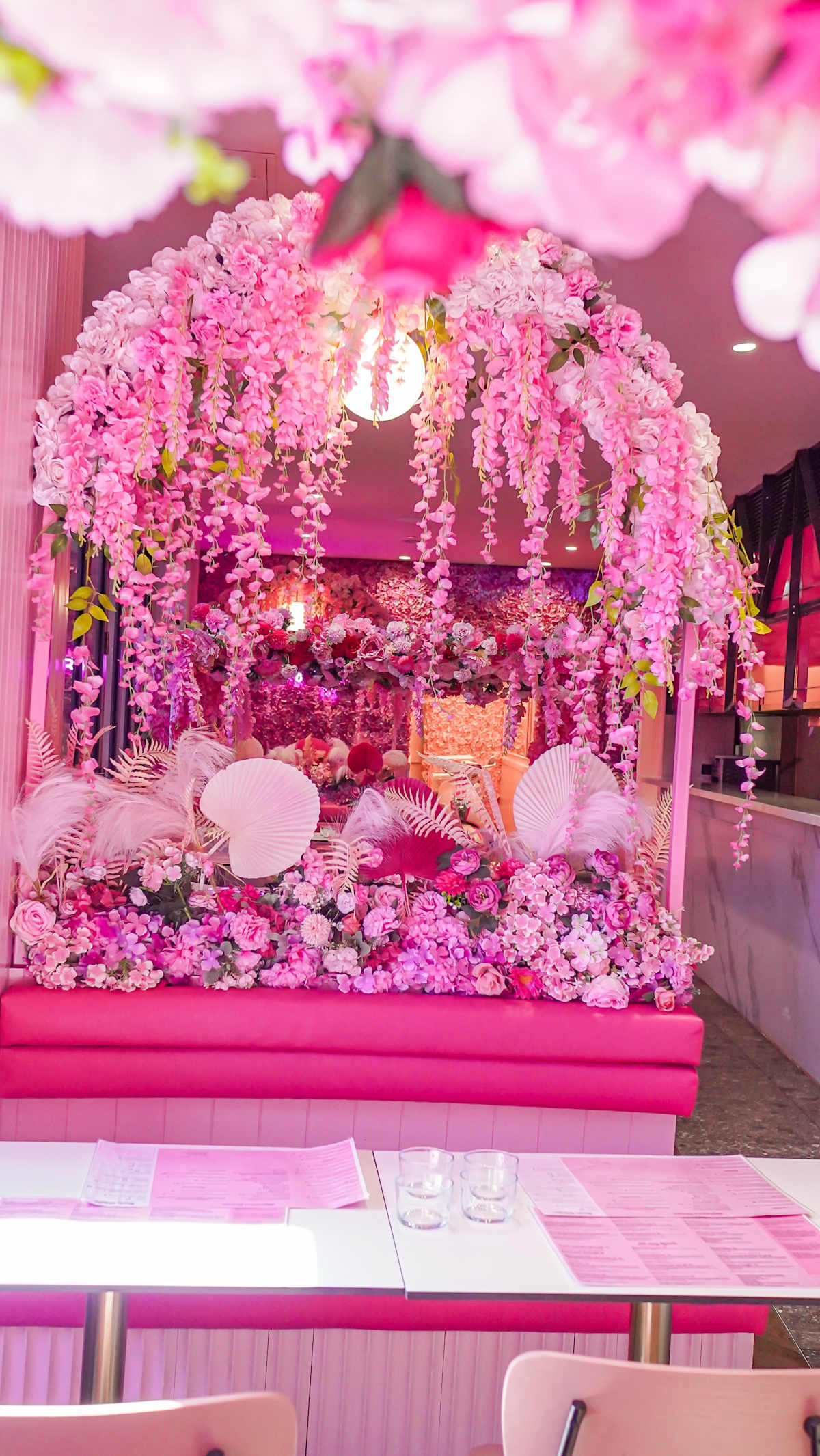Feekah: "Step Into a Pink Paradise"