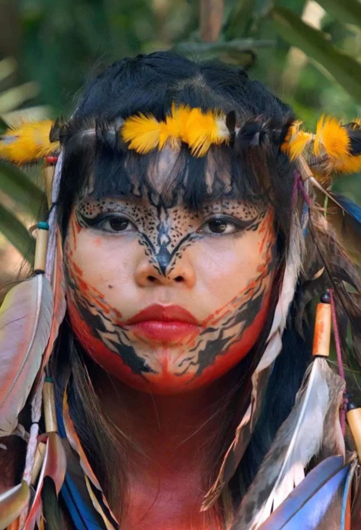 Edge of Life showtimes at Westfield Knox